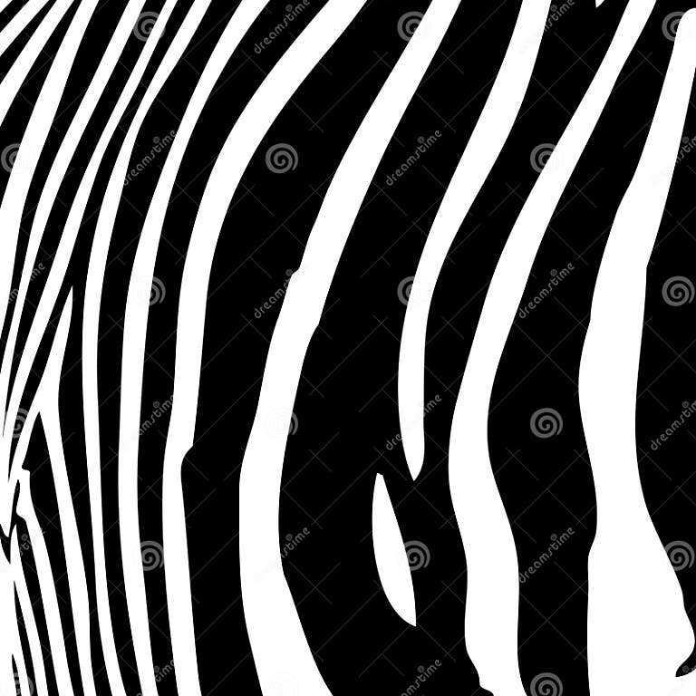Zebra Stripes Vector stock vector. Illustration of animals - 8219836