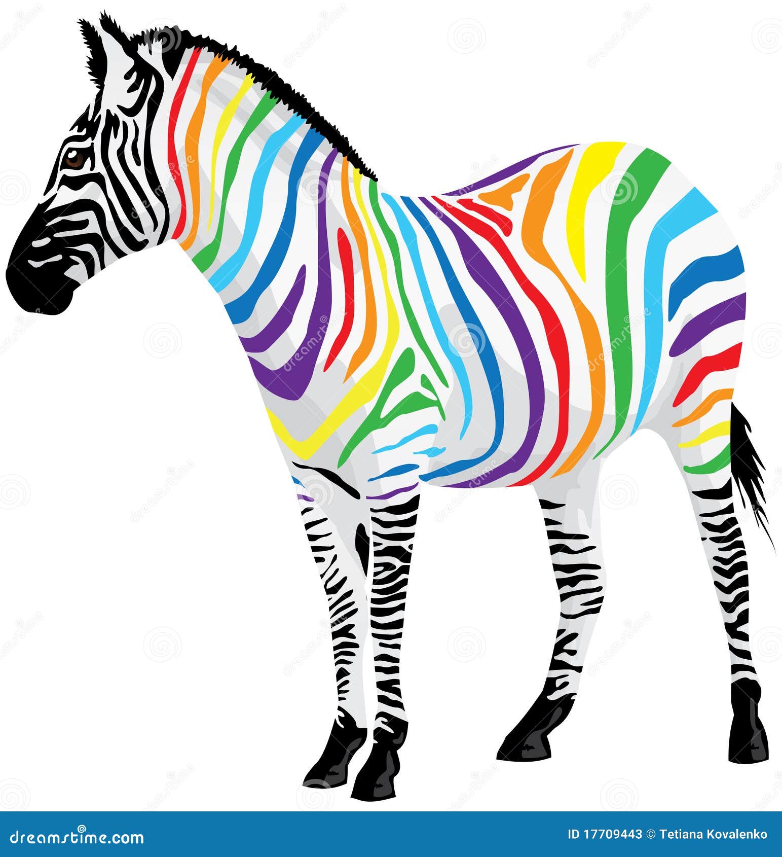 Zebra. Strips of Different Colors Stock Vector - Illustration of ...