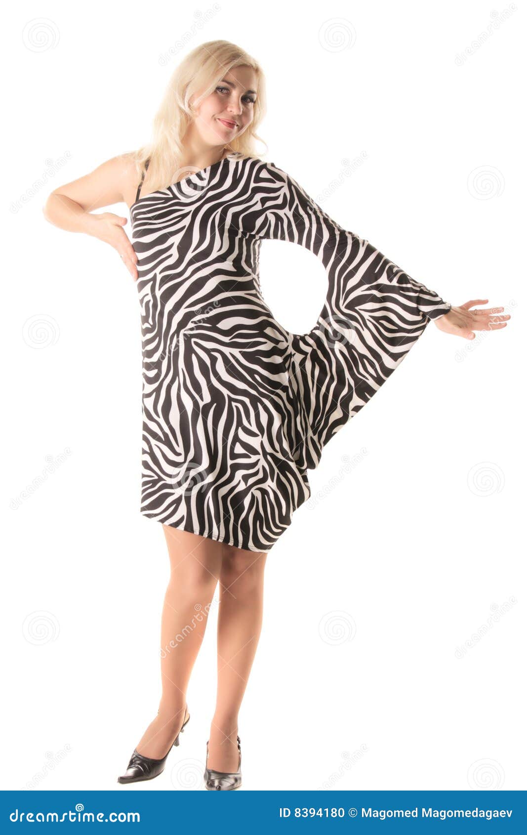 Zebra style stock photo. Image of isolated, woman, stripes - 8394180