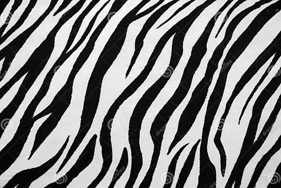 Zebra Textile Texture stock photo. Image of knitted, classical - 23996542