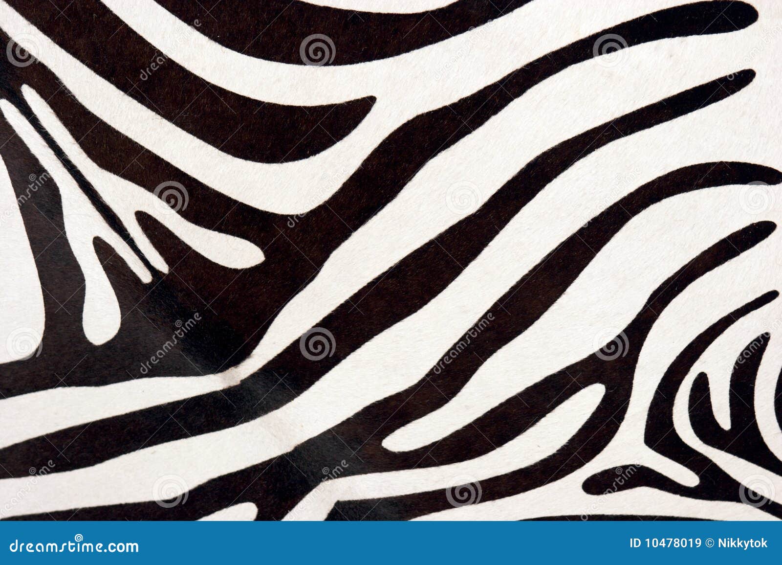 Zebra texture stock illustration. Illustration of contrast - 10478019