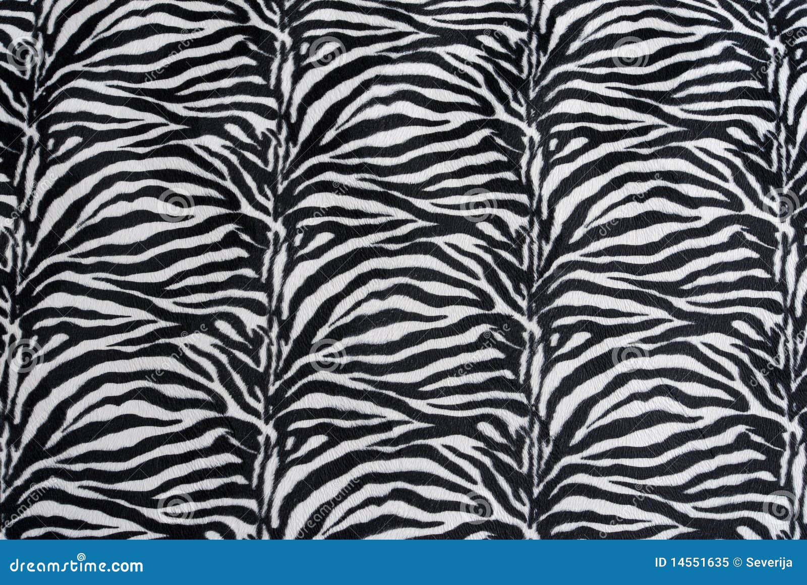 Zebra texture stock image. Image of fabric, patterns - 14551635