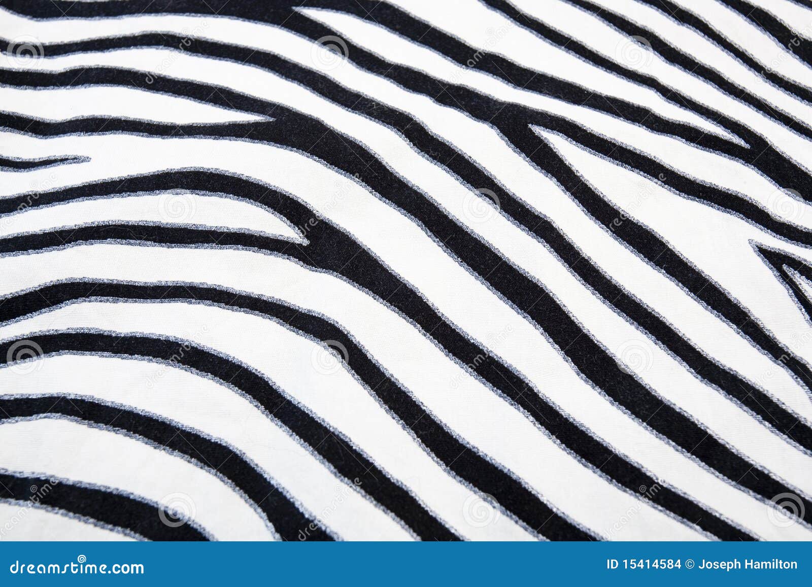 Zebra texture stock photo. Image of fauna, crop, animal - 15414584