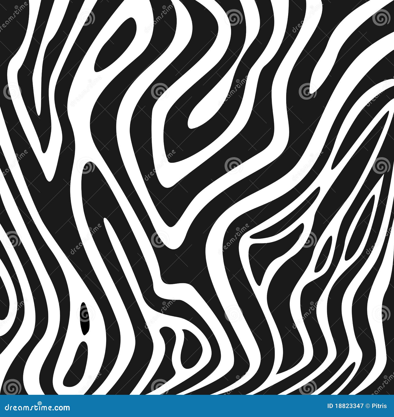 Zebra texture stock vector. Illustration of structure - 18823347