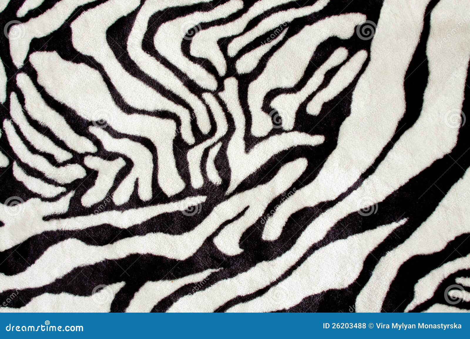 Zebra texture stock photo. Image of decoration, black - 26203488