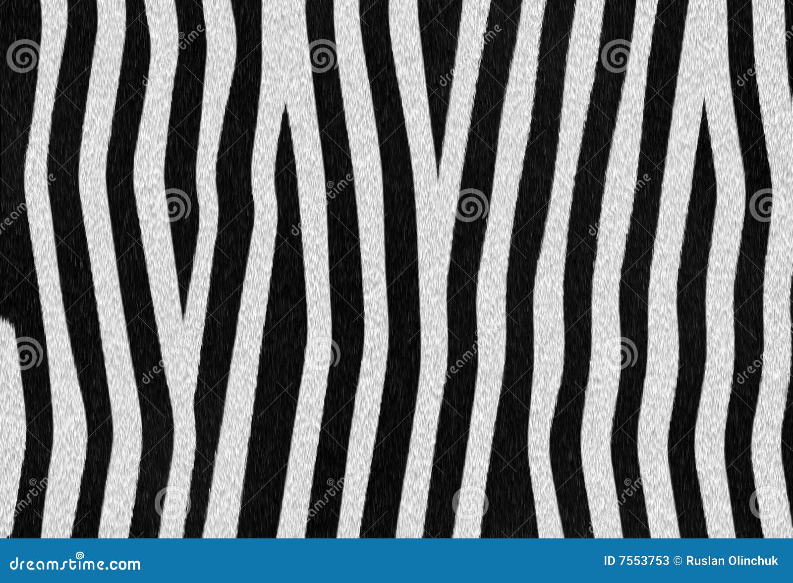 Zebra texture stock illustration. Illustration of crop - 7553753