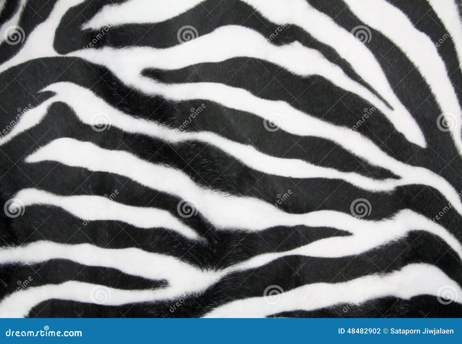 Zebra texture stock photo. Image of textured, vertebrate - 48482902
