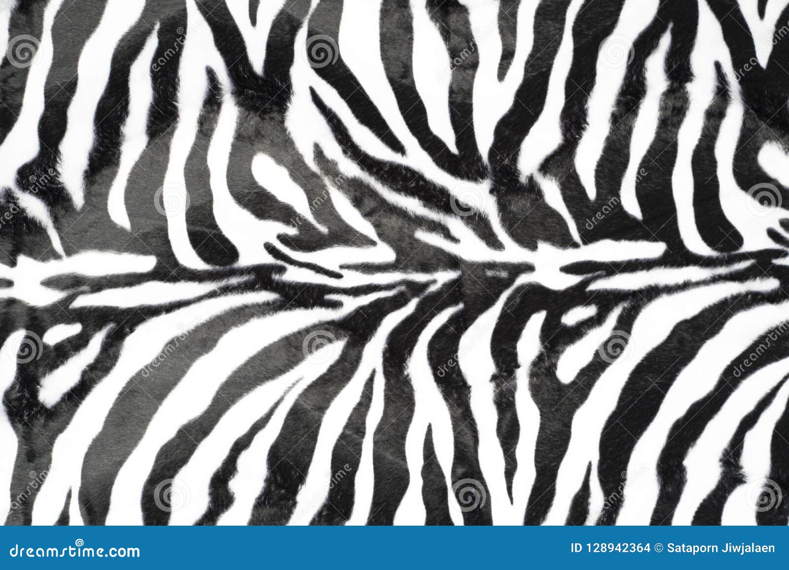 Zebra texture background stock photo. Image of mammal - 128942364