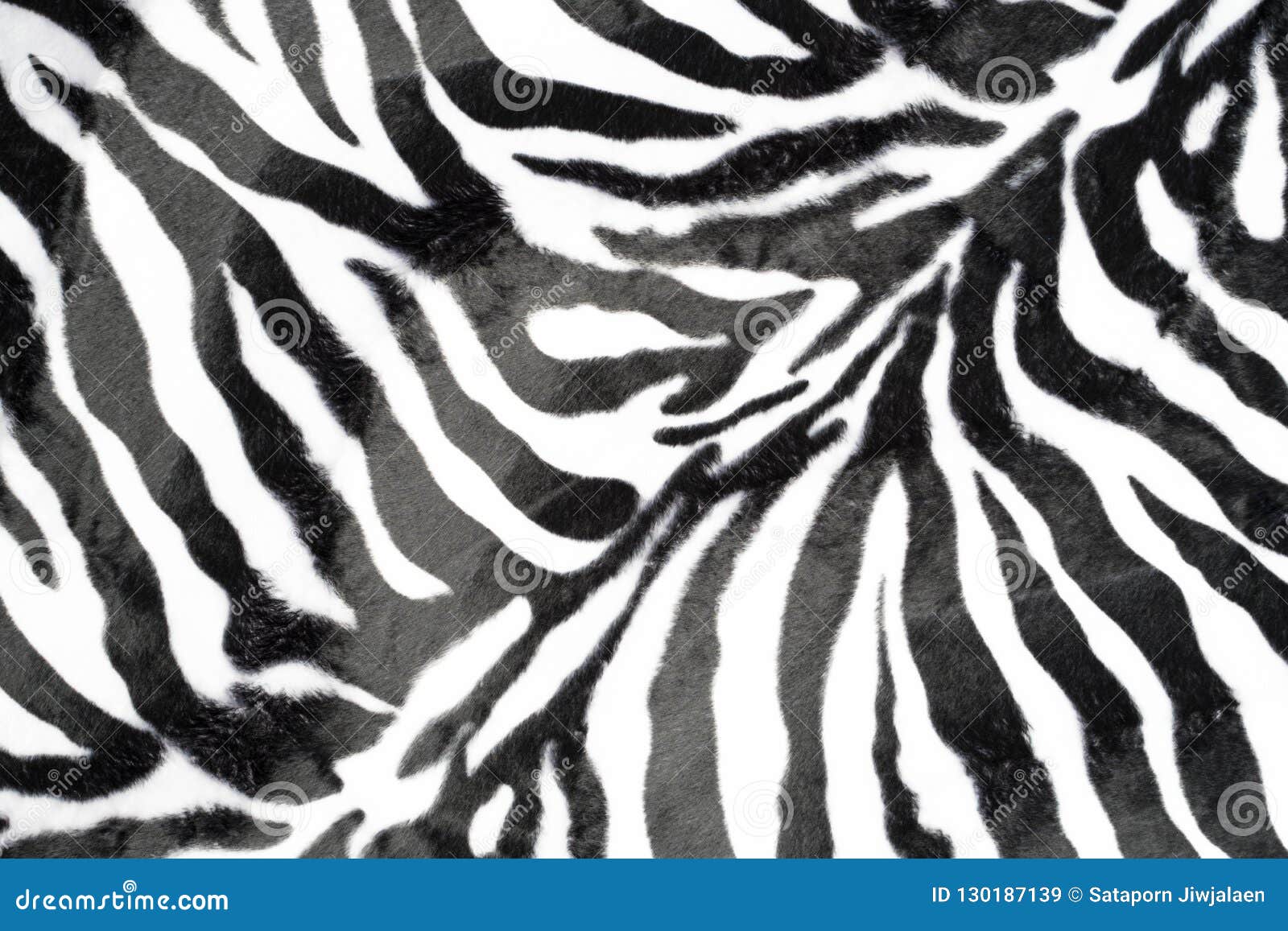 Zebra texture background stock image. Image of beautiful - 130187139