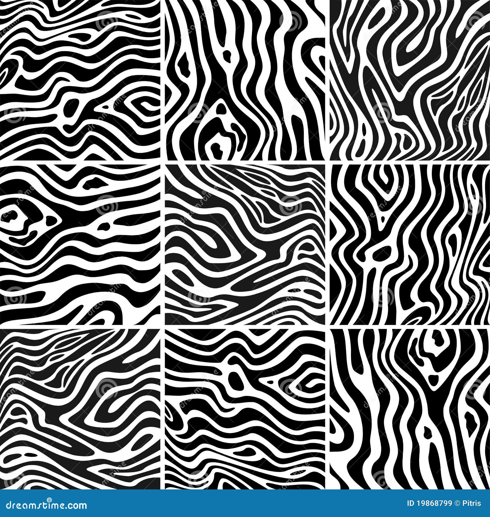 Zebra Texture Cartoon Vector | CartoonDealer.com #18823347