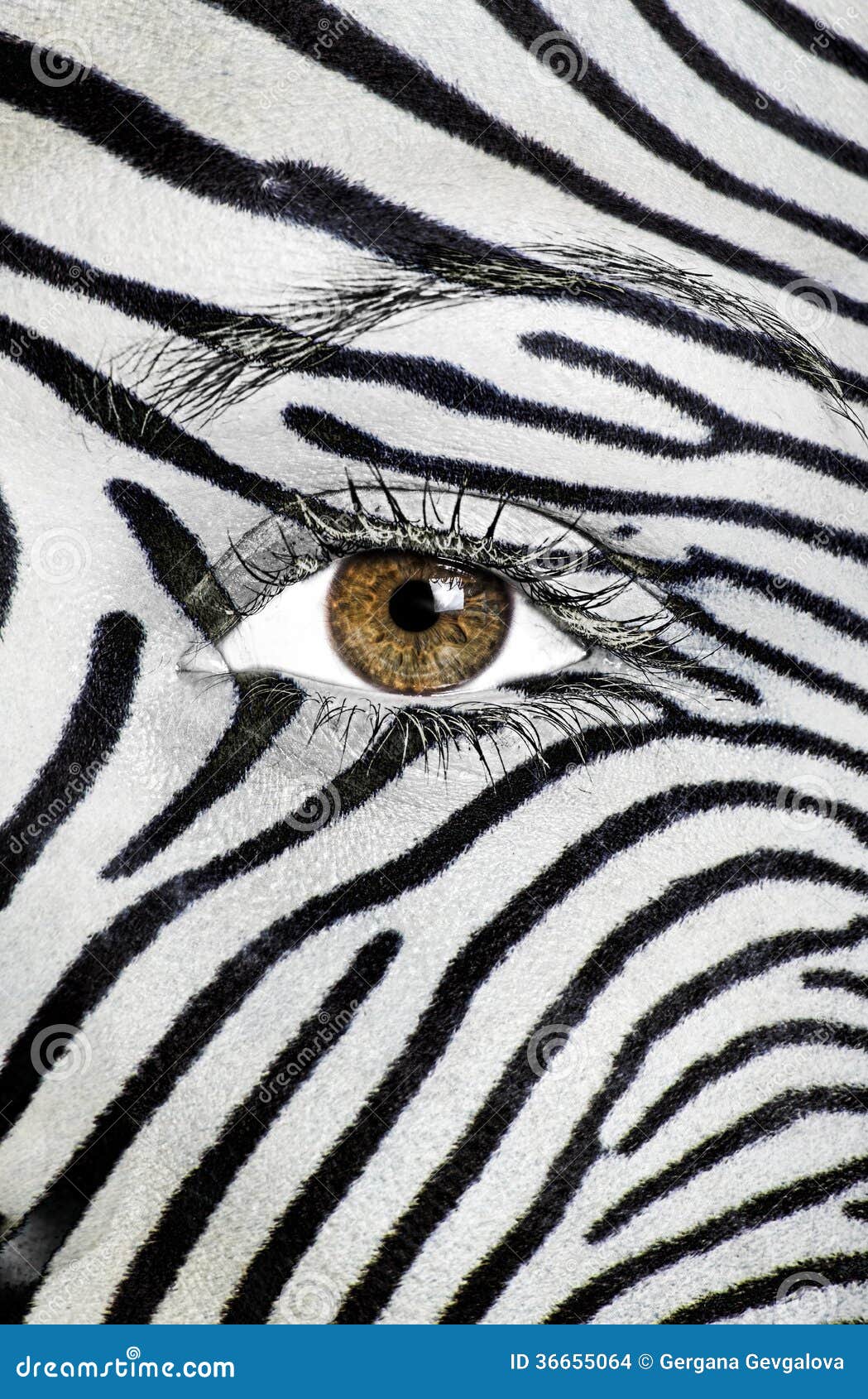 Zebra Texture Painted on Face Stock Photo - Image of closeup, clean ...