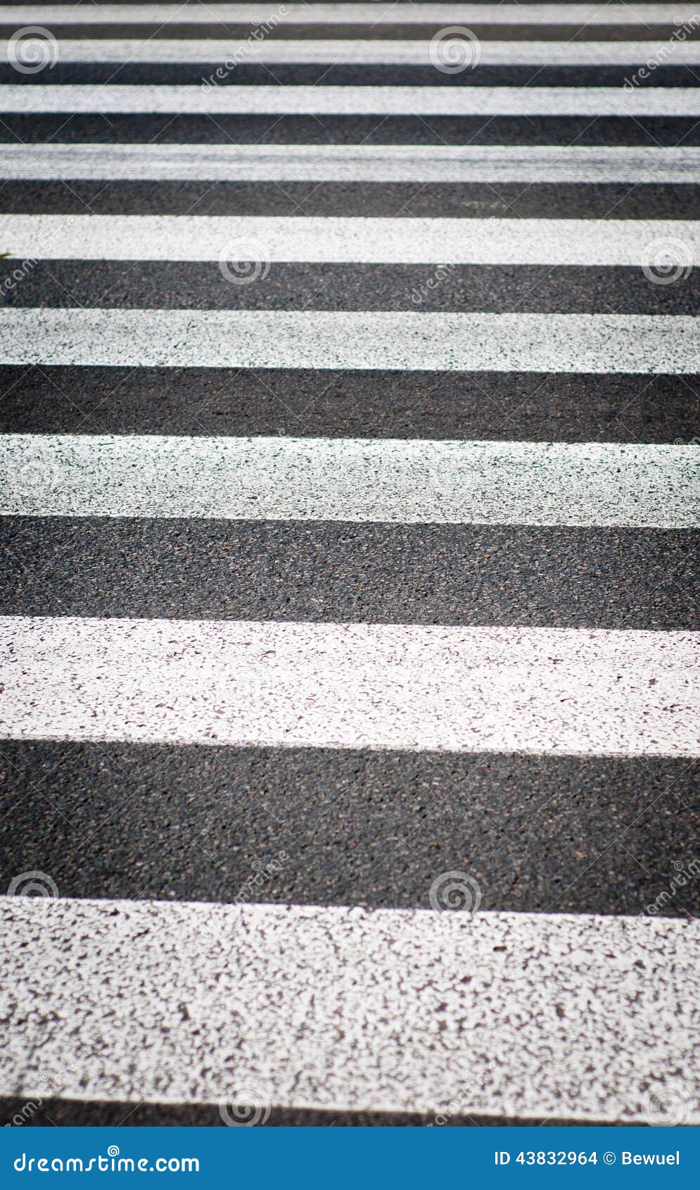 Zebra Traffic Walk Way in the City Stock Photo - Image of traffic ...