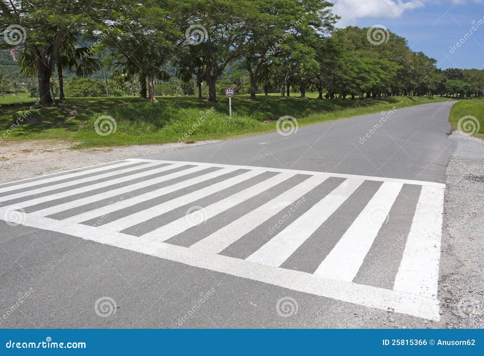 Zebra Traffic Walk Way, Cross Way Stock Photo - Image of sidewalk ...