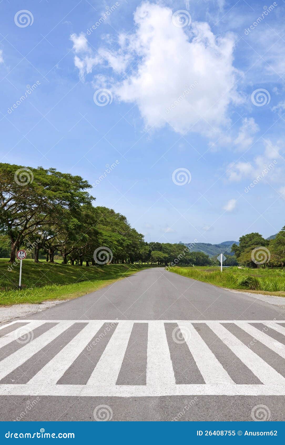 Zebra Traffic Walk Way, Cross Way Stock Image - Image of rough, line ...