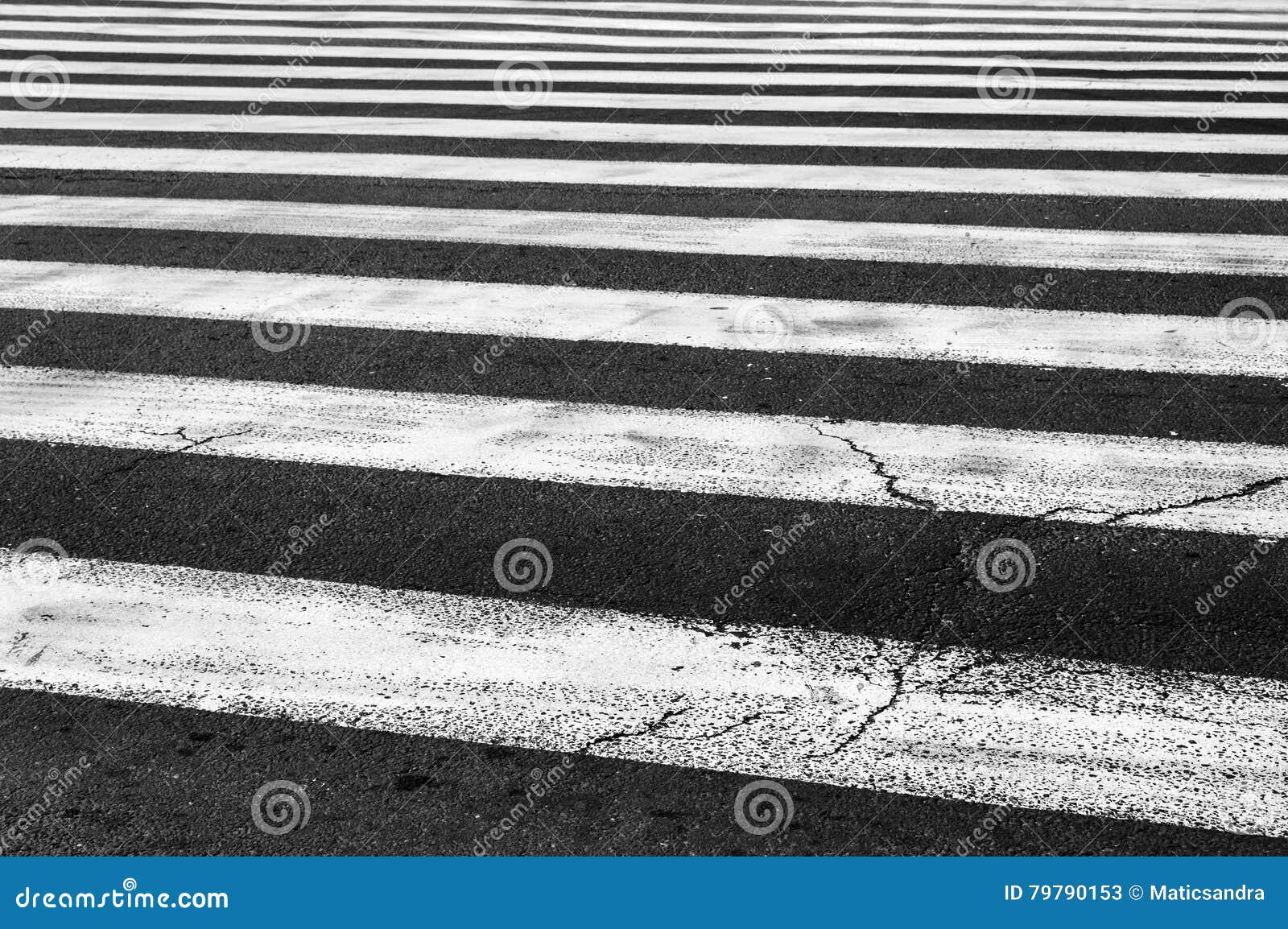 Zebra traffic walk way stock image. Image of transport - 79790153