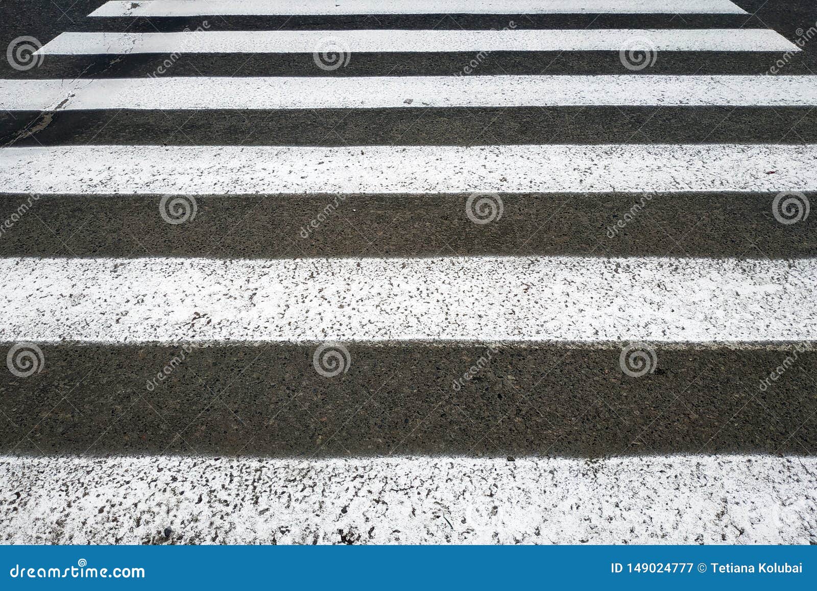 Zebra Walking Path on the Asphalt Stock Image - Image of concrete ...