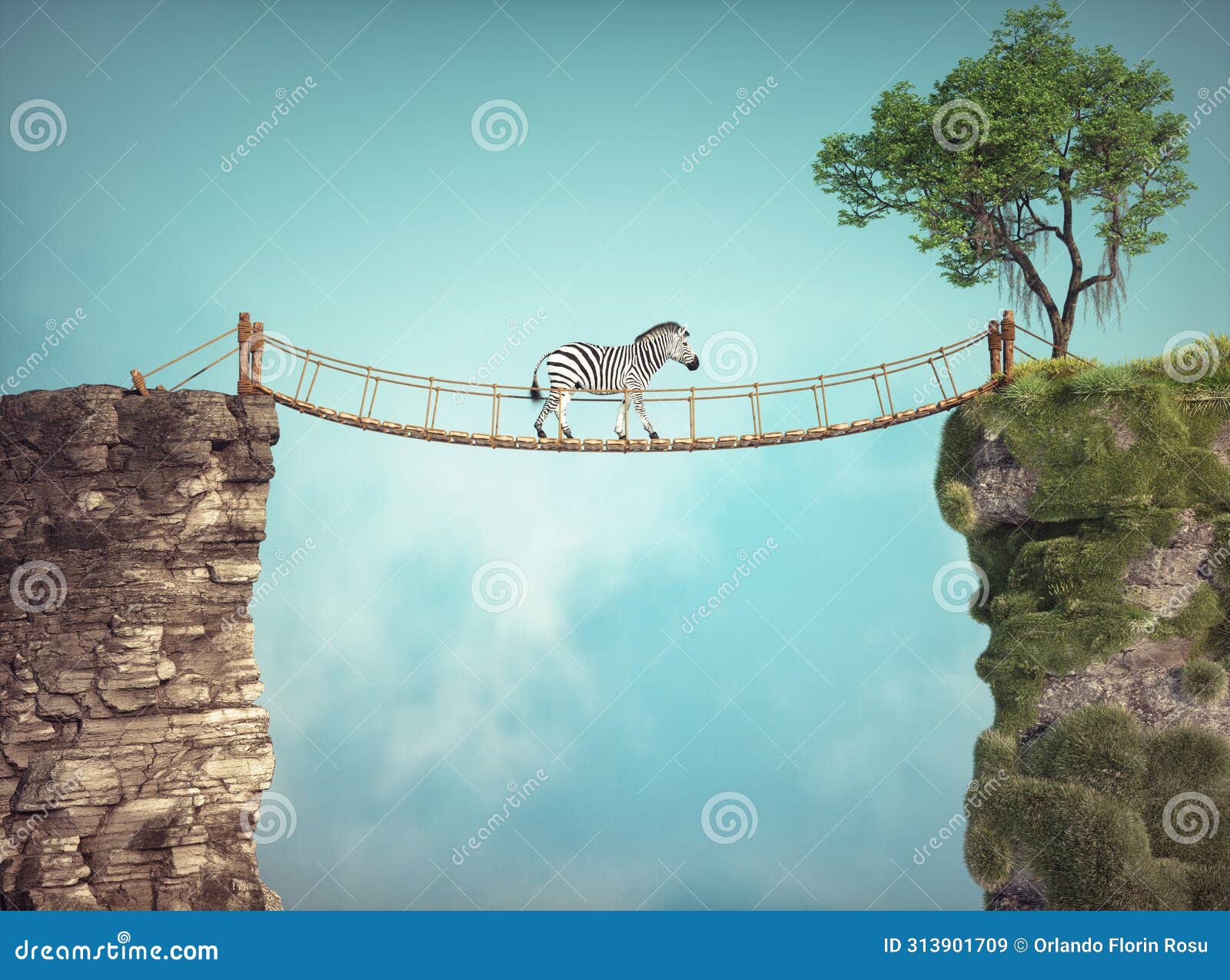 The Zebra Walks on a Bridge between Two Rocks. Risk Taking and ...