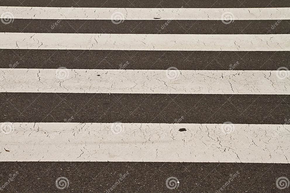 Zebra way stock photo. Image of background, pavement - 25829460