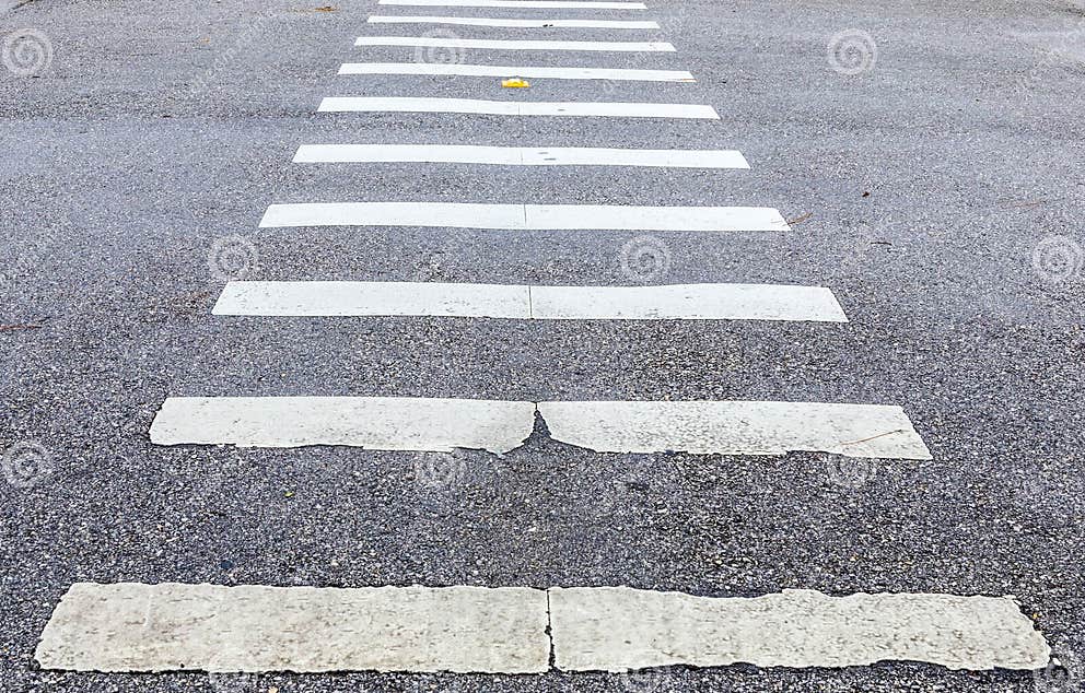 Zebra Way on Asphalt Road Surface Stock Photo - Image of highway, rough ...