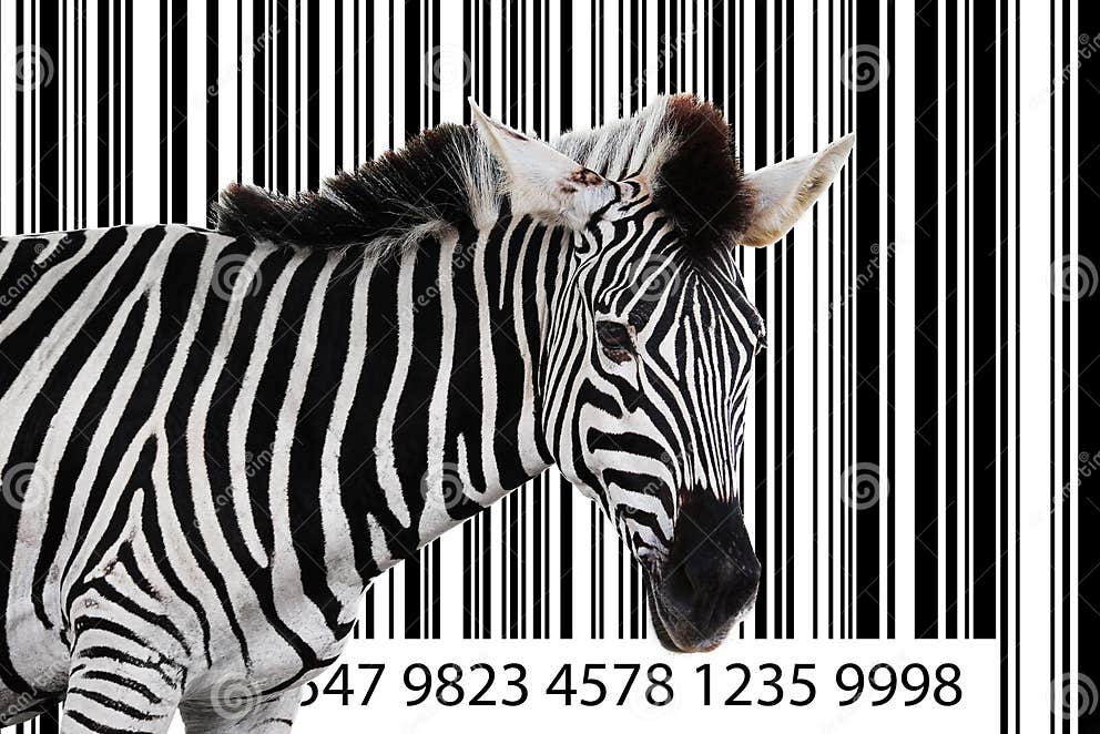 Zebrabarcode stockfoto. Bild von schwarzes, verbraucherschutzbewegung ...