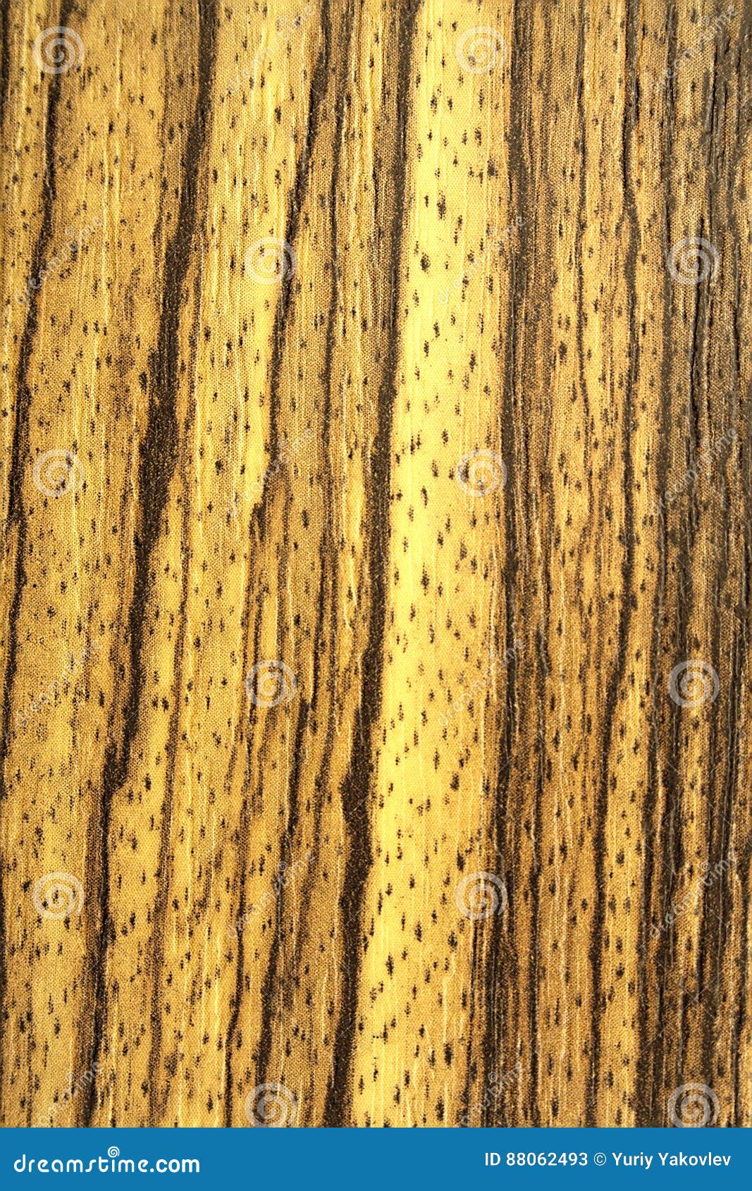 Zebrano Tree, Texture Old Wood Stock Image - Image of artificial ...