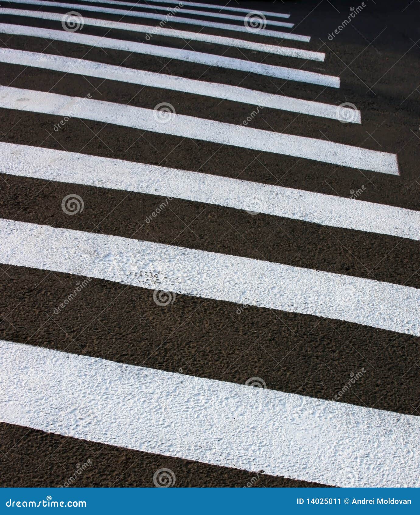 Zebrapad Picture. Image: 14025011