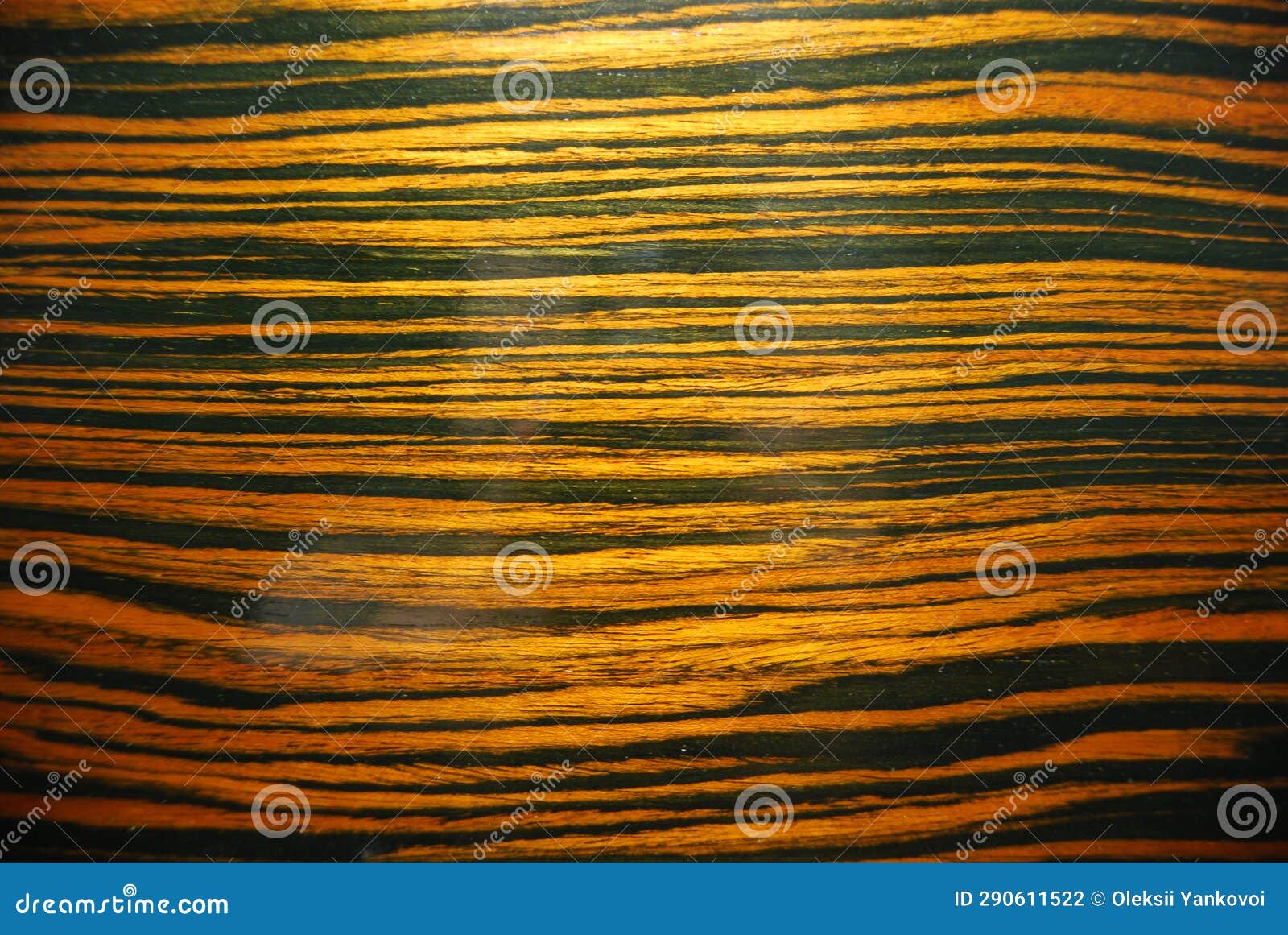 Zebrawood Texture Stock Image | CartoonDealer.com #12613285
