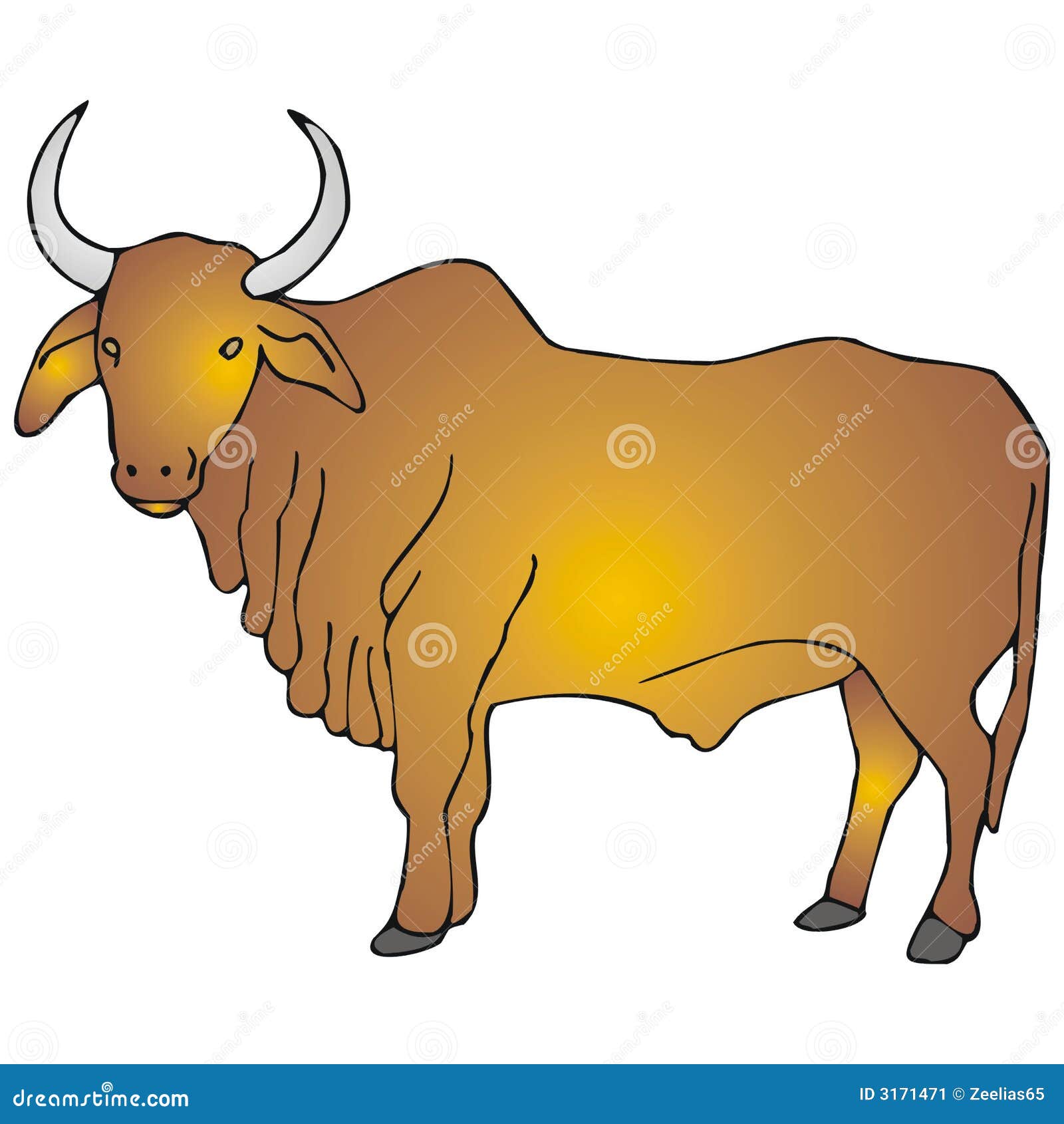 Zebu stock vector. Illustration of taurus, drawing, india - 3171471