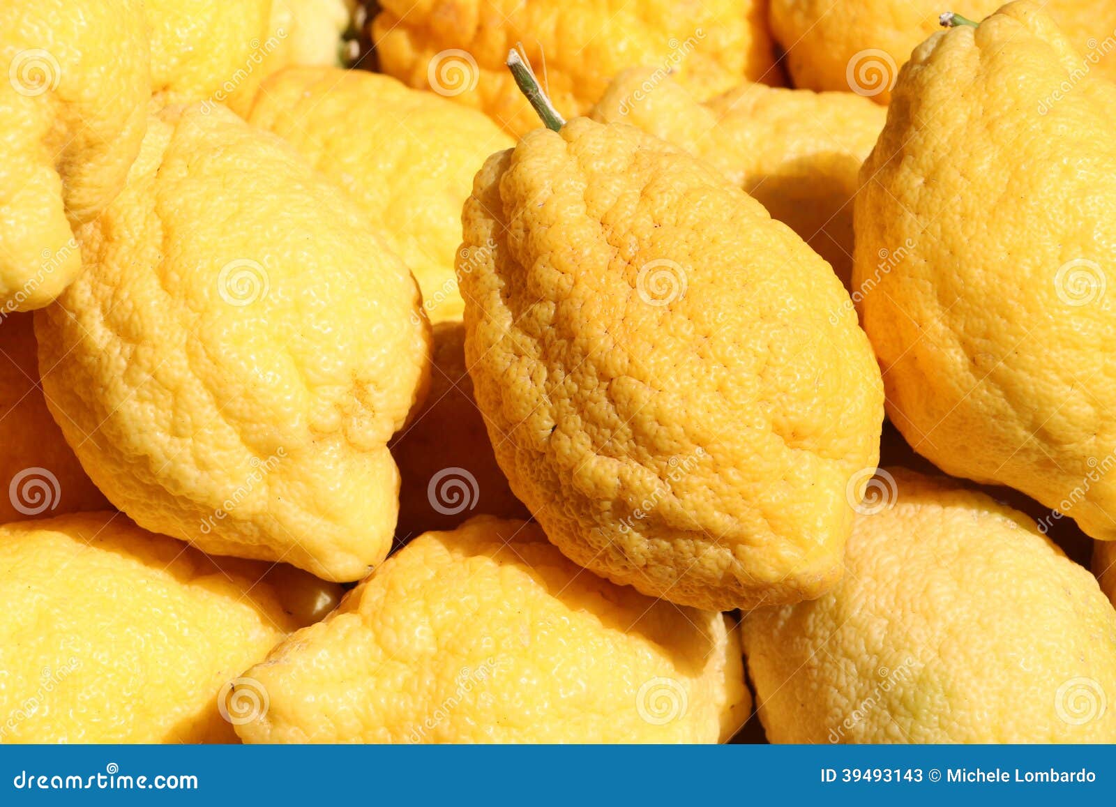 Zedern, Zitrusfrucht stockbild. Bild von frucht, vitamine - 39493143