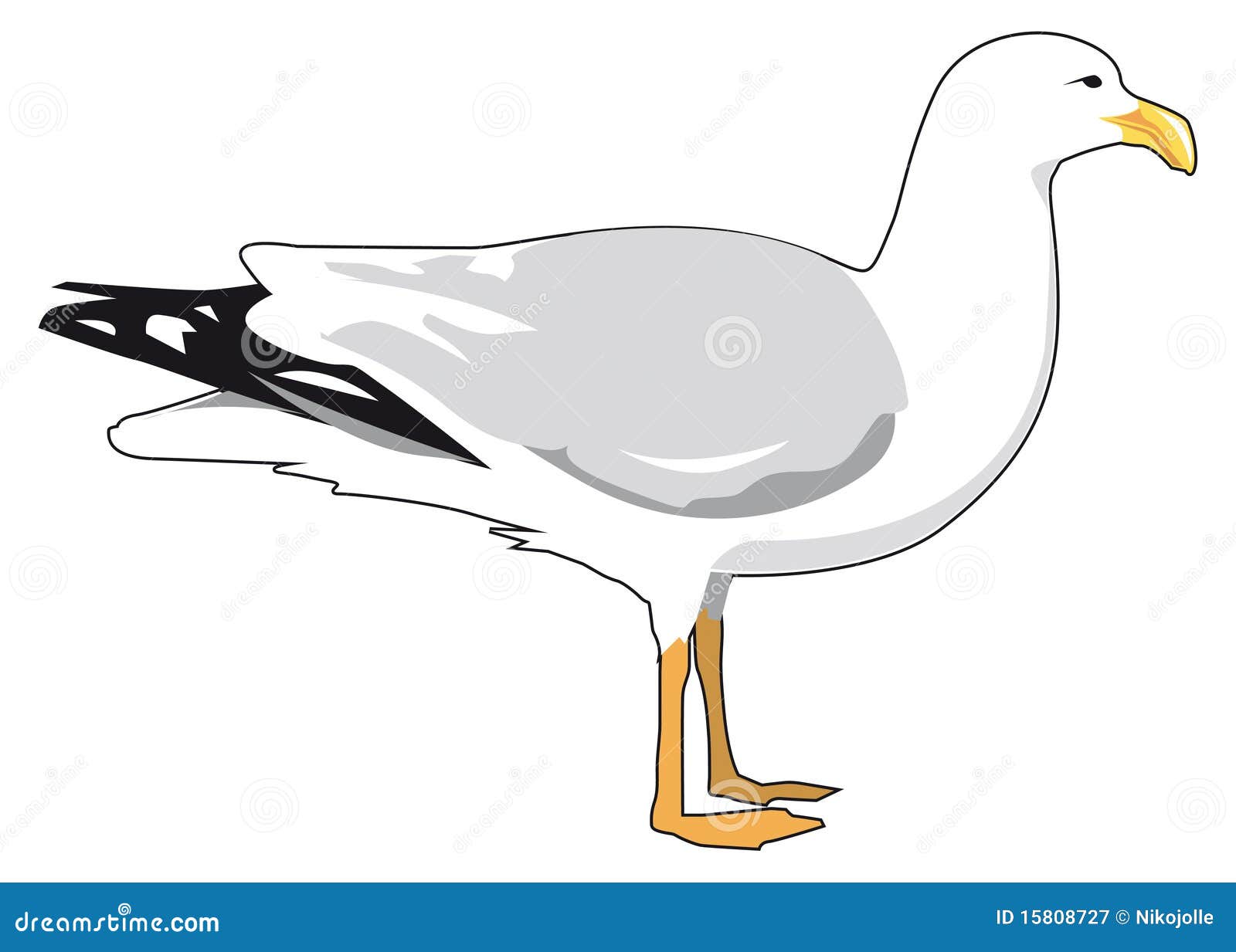 Zeemeeuw vector illustratie. Illustration of vogel, vlucht - 15808727