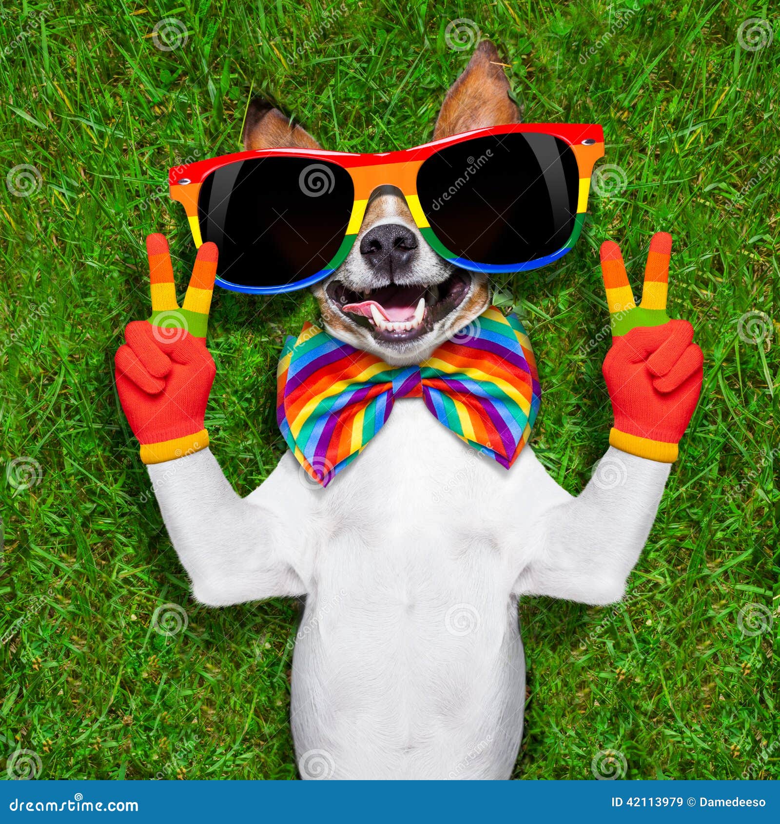 Zeer Grappige Vrolijke Hond Stock Foto - Afbeelding: 42113979