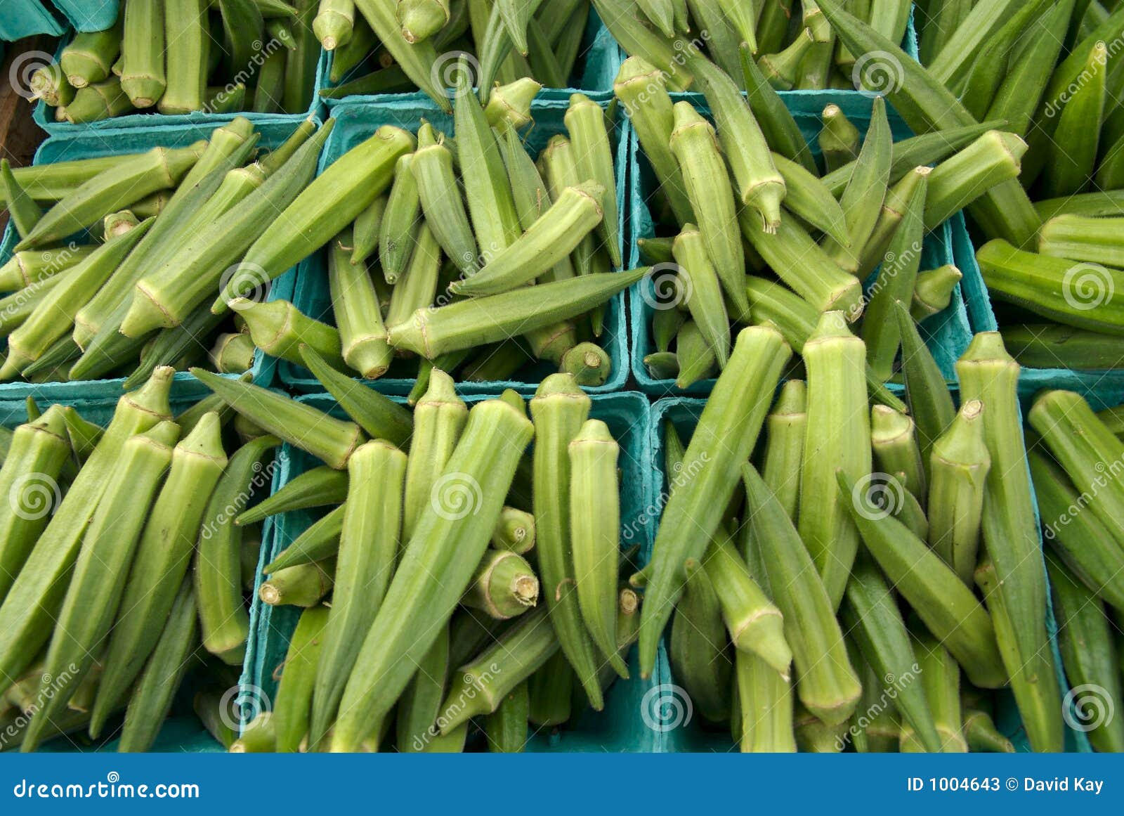 Zeer Vers Picture. Image: 1004643