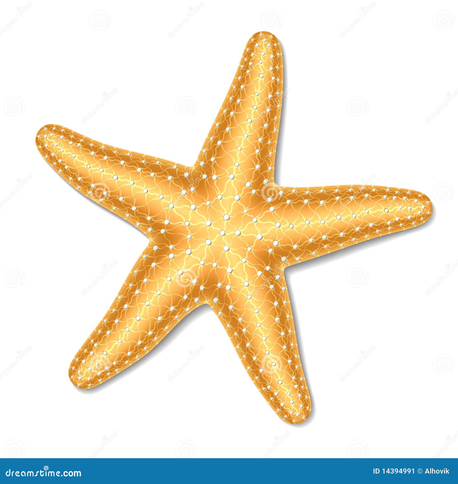 Zeester vector illustratie. Illustration of oceaan, nave - 14394991