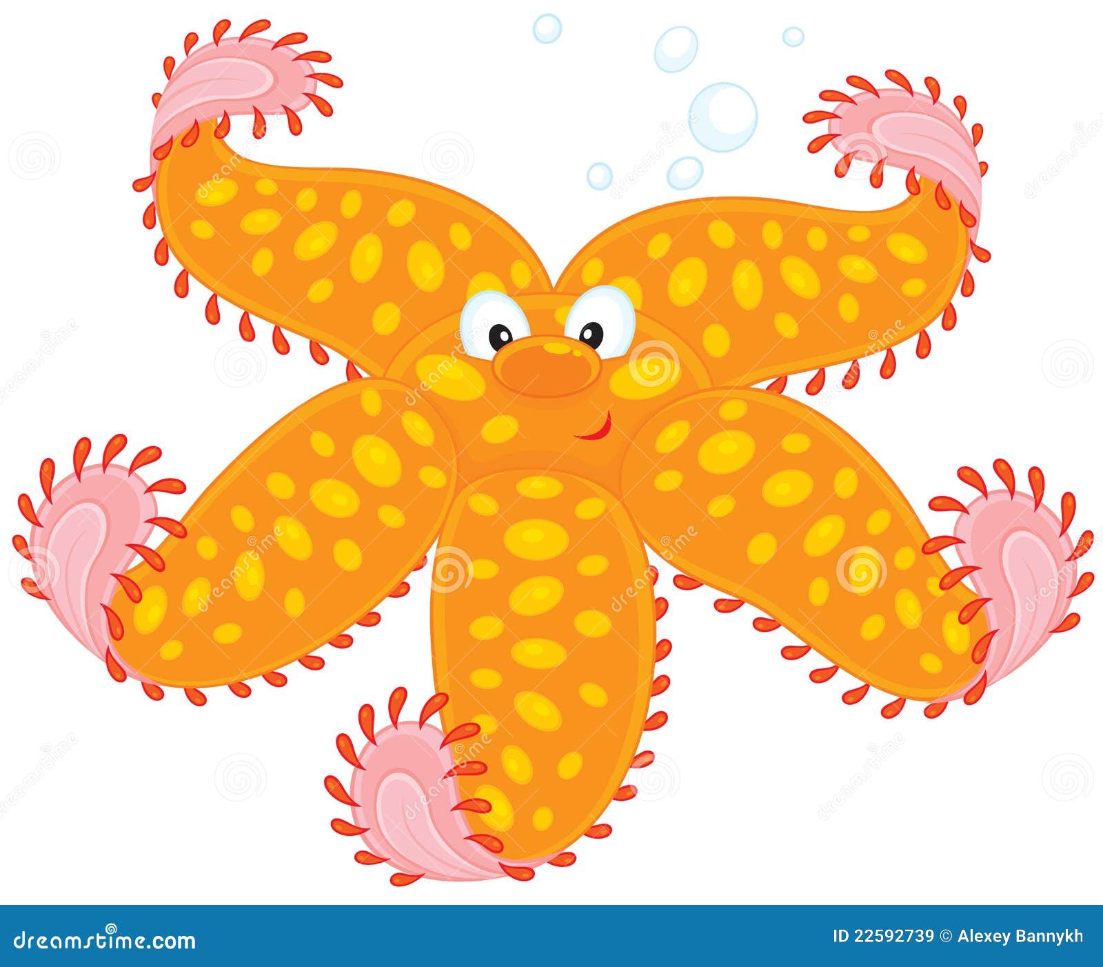 Zeester vector illustratie. Illustration of kussen, dier - 22592739