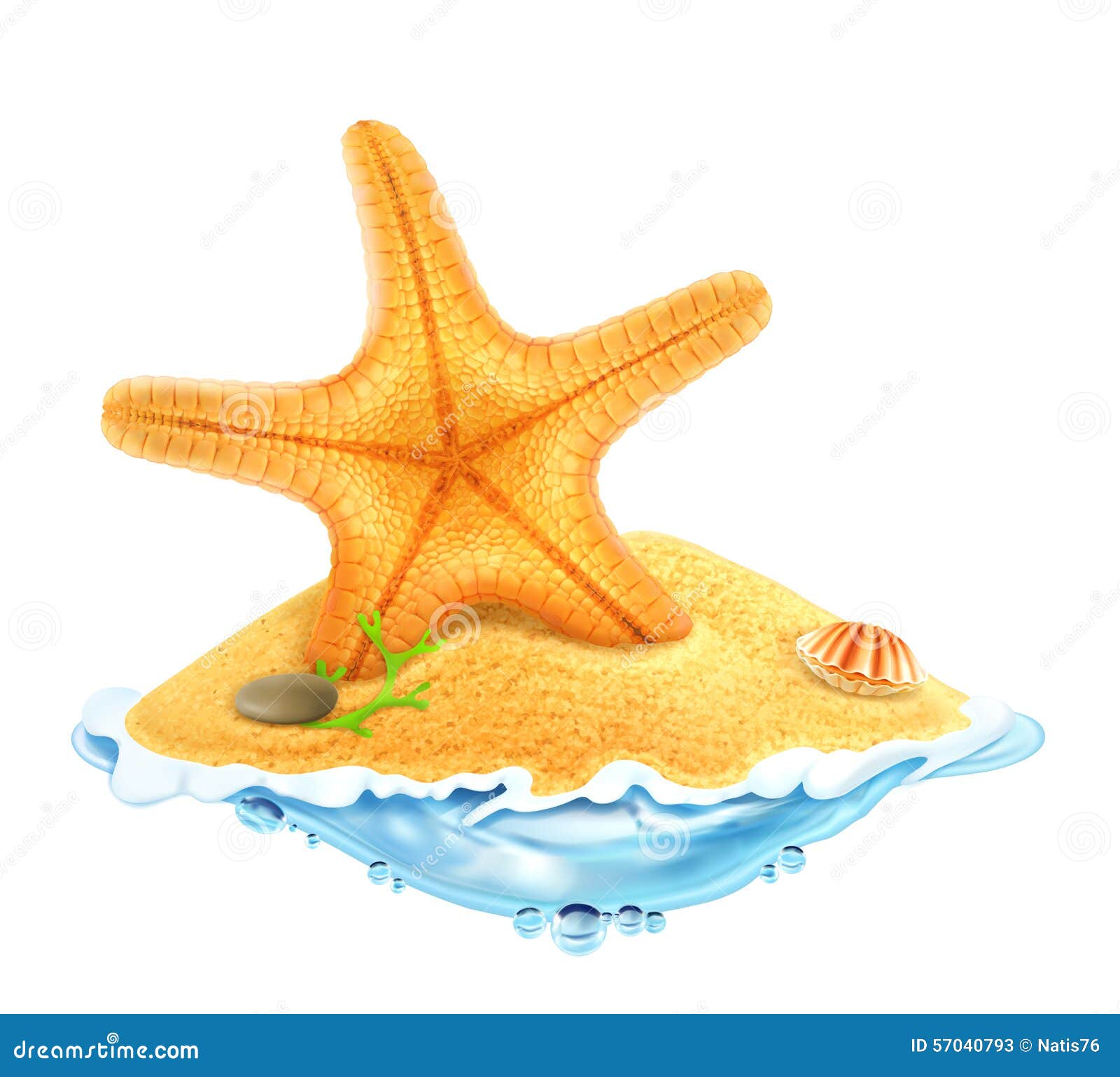 Zeester in Het Zand, Vectorillustratie Vector Illustratie ...