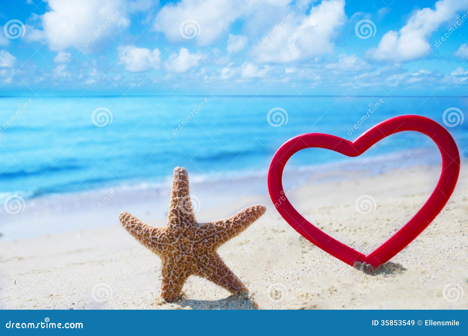 Zeester Met Hart Door De Oceaan Stock Afbeelding - Image of water ...