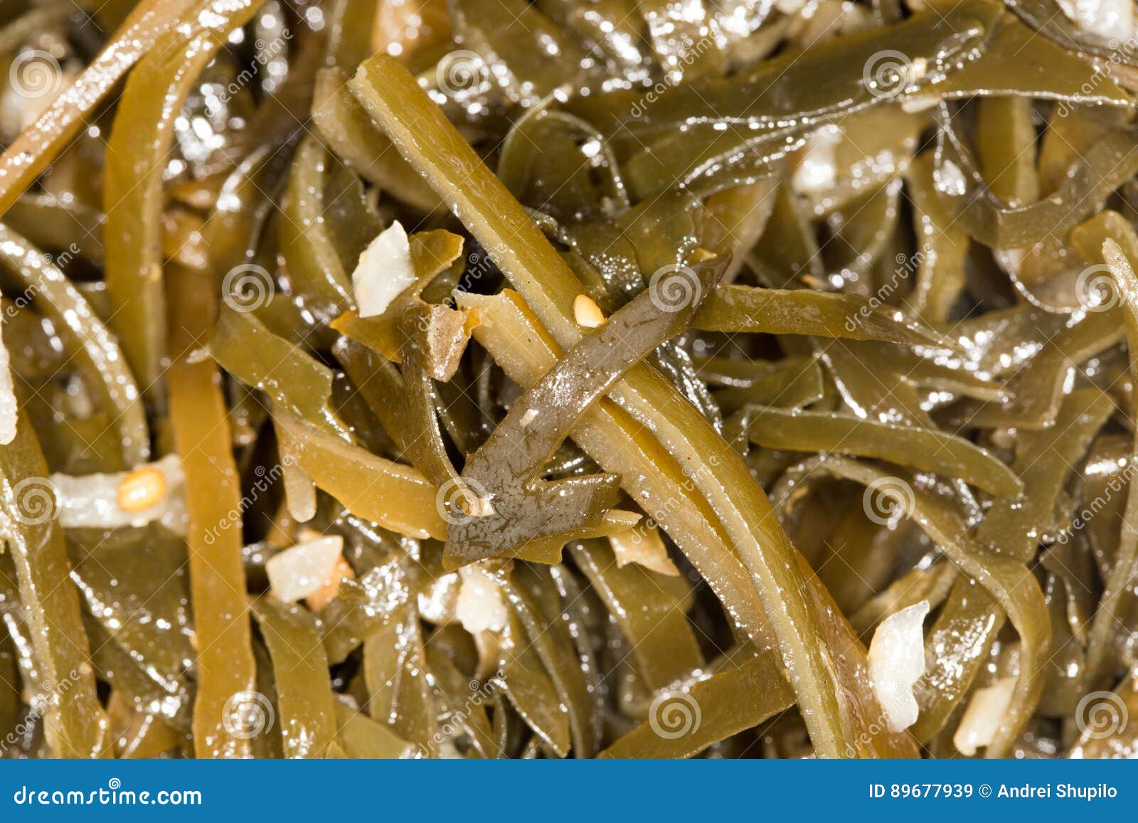 Zeewier stock afbeelding. Image of nave, dieet, levensmiddelen - 89677939