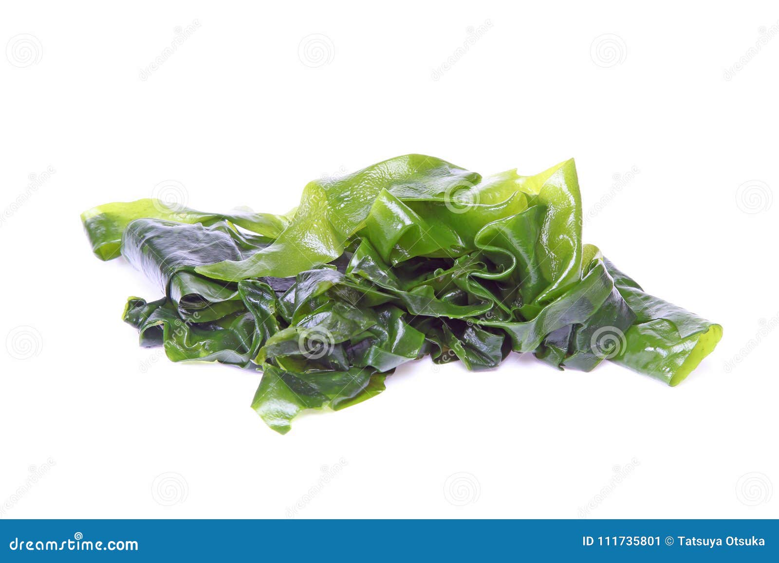 Zeewier Op Een Witte Achtergrond Stock Afbeelding - Image of voedsel ...