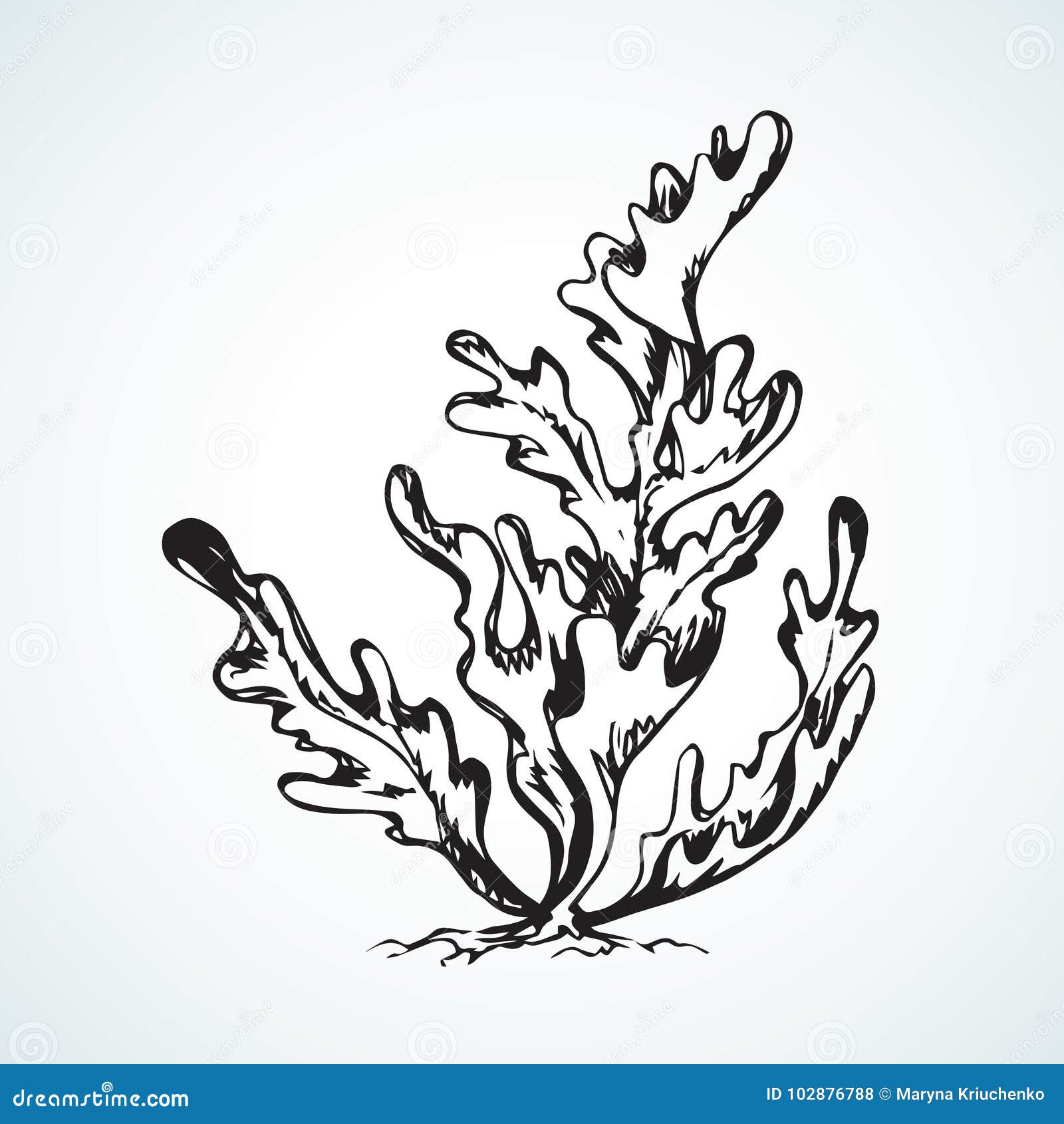 Zeewier Vector tekening vector illustratie. Illustration of decoratie ...