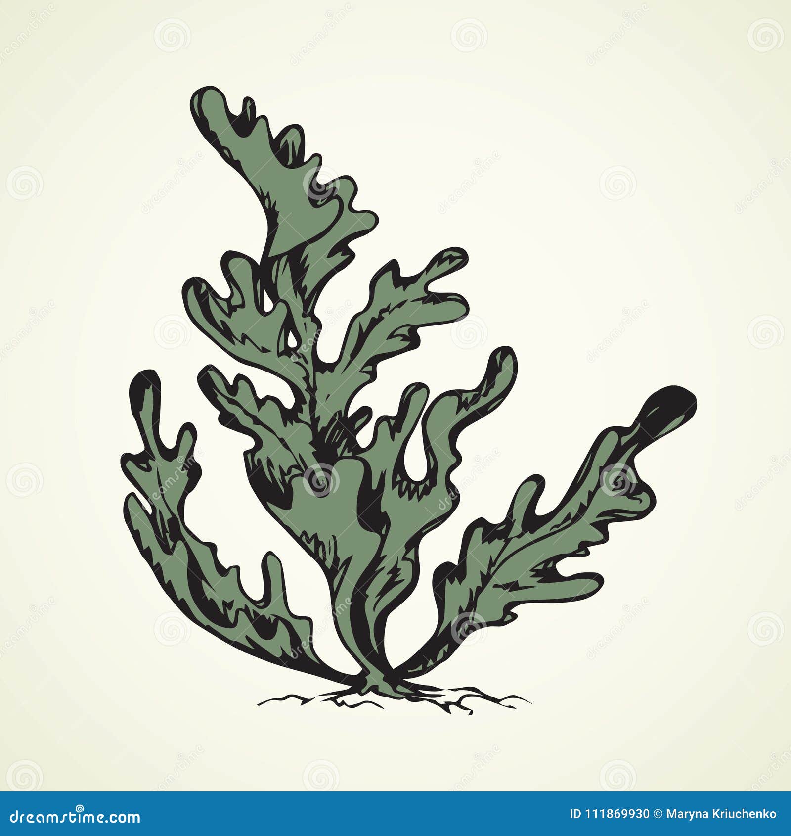 Zeewier Vector tekening vector illustratie. Illustration of groen ...