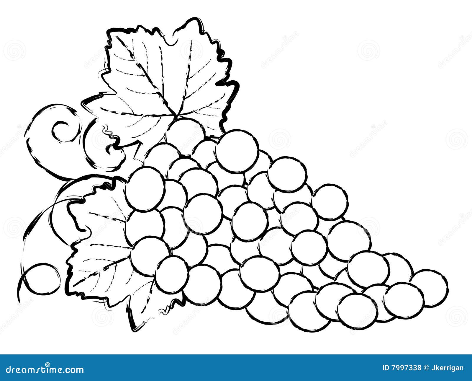 Zeichnung der Trauben vektor abbildung. Illustration von wein - 7997338