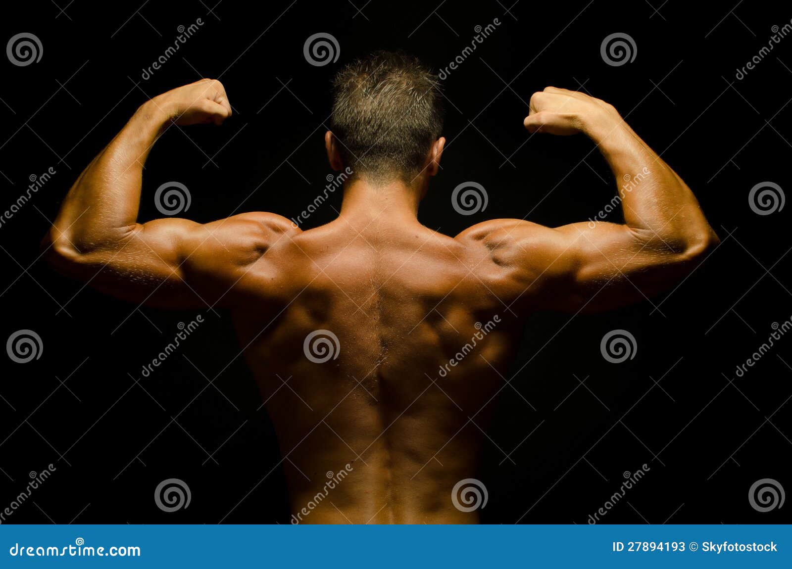 Zeigen der Muskeln stockbild. Bild von schön, porträt - 27894193