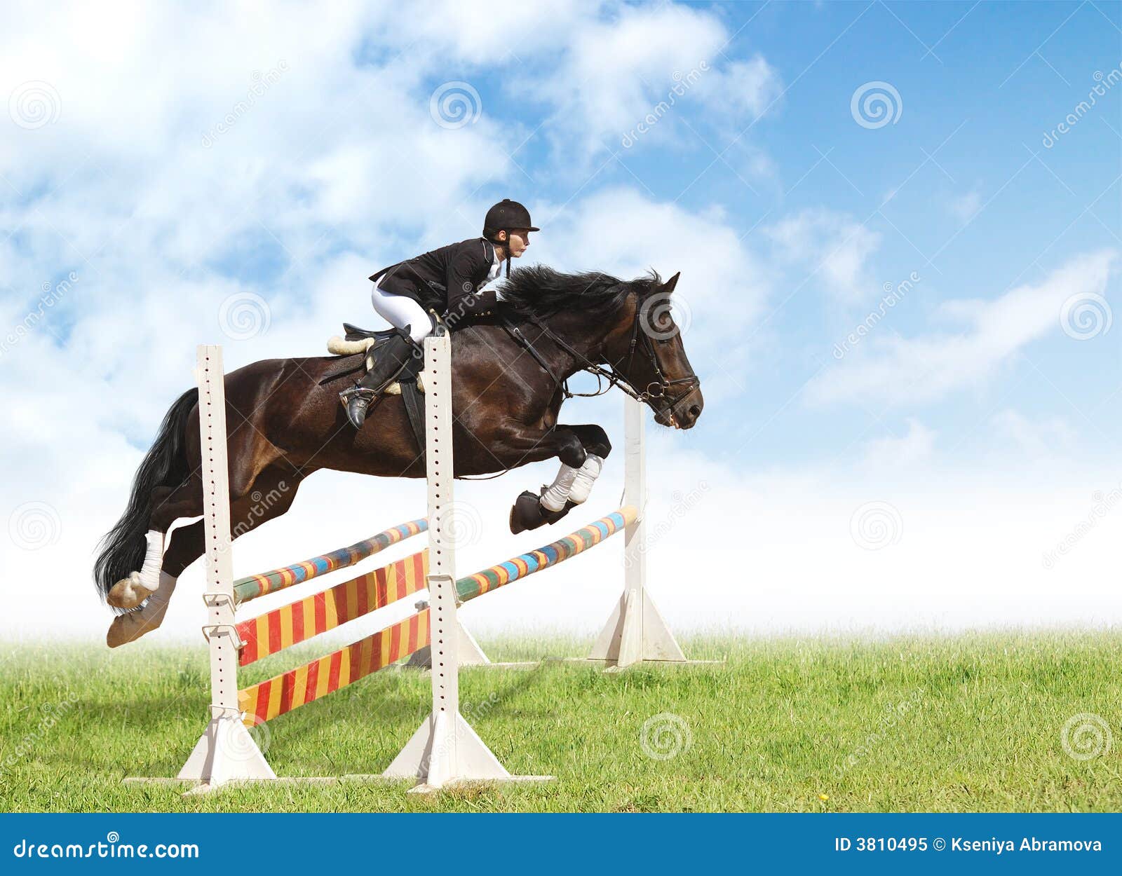 Zeigen Sie das Springen stockbild. Bild von ring, springreiten - 3810495