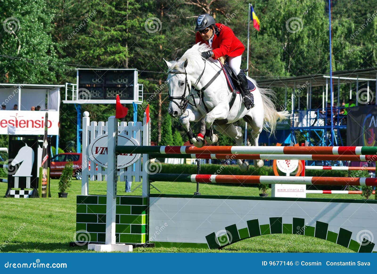 Zeigen Sie Springendes Pferd Redaktionelles Foto - Bild von ...