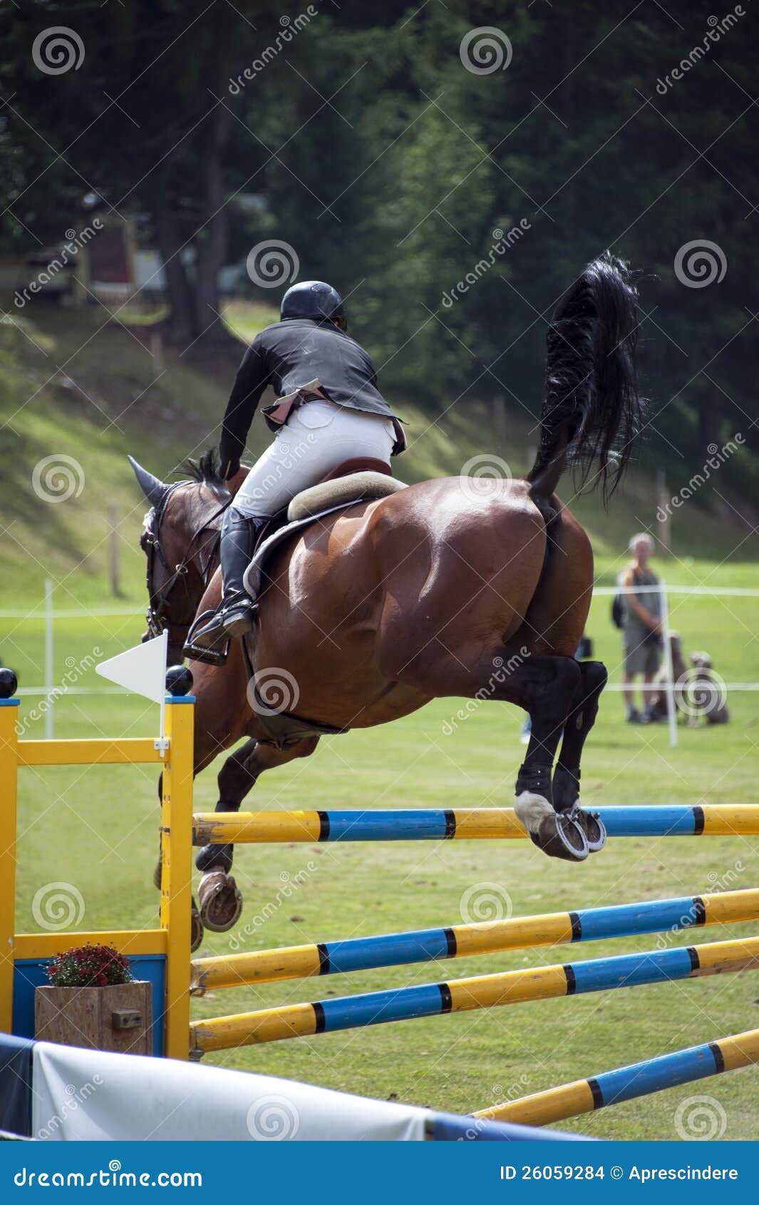 Zeigen Sie Springendes Pferd Und Mitfahrer Stockfoto - Bild von ...