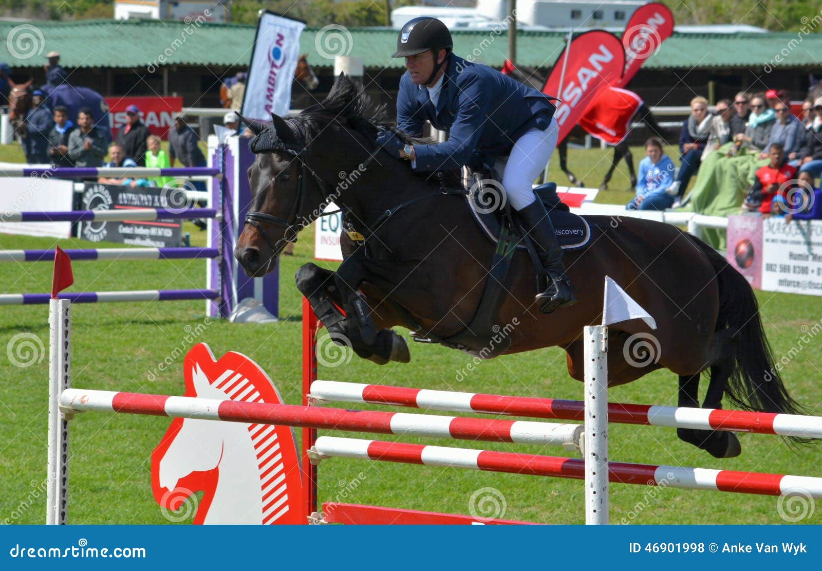 Zeigen Sie Springendes Pferd Und Mitfahrer Redaktionelles Stockfoto ...