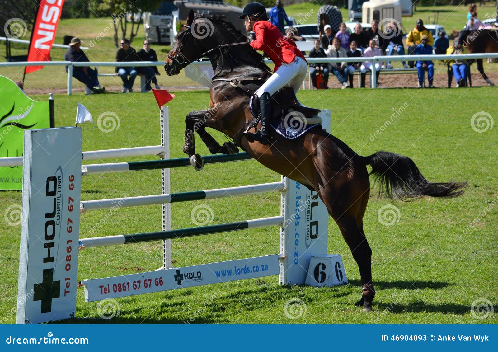 Zeigen Sie Springendes Pferd Und Mitfahrer Redaktionelles Stockfoto ...