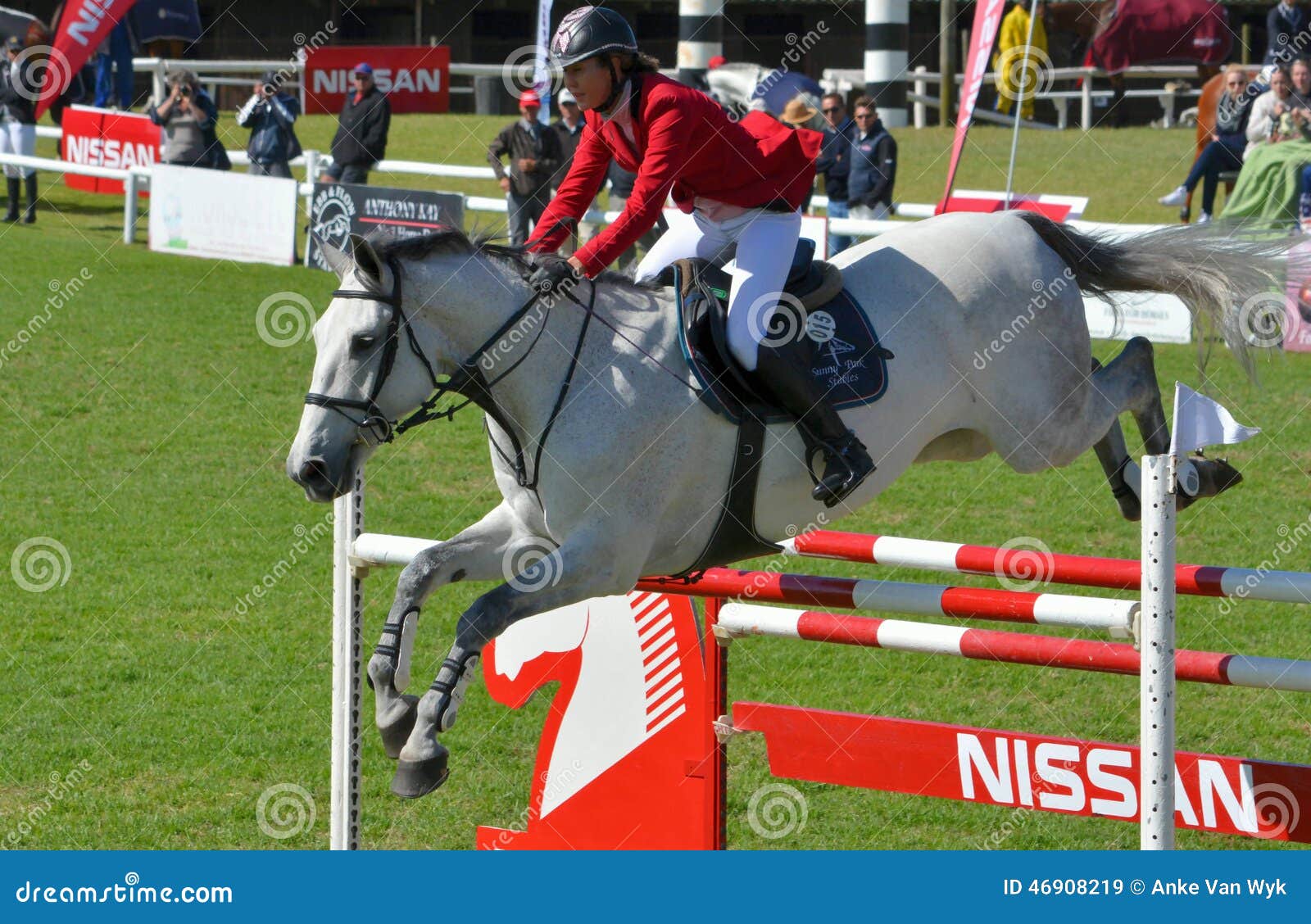 Zeigen Sie Springendes Pferd Und Mitfahrer Redaktionelles Stockbild ...