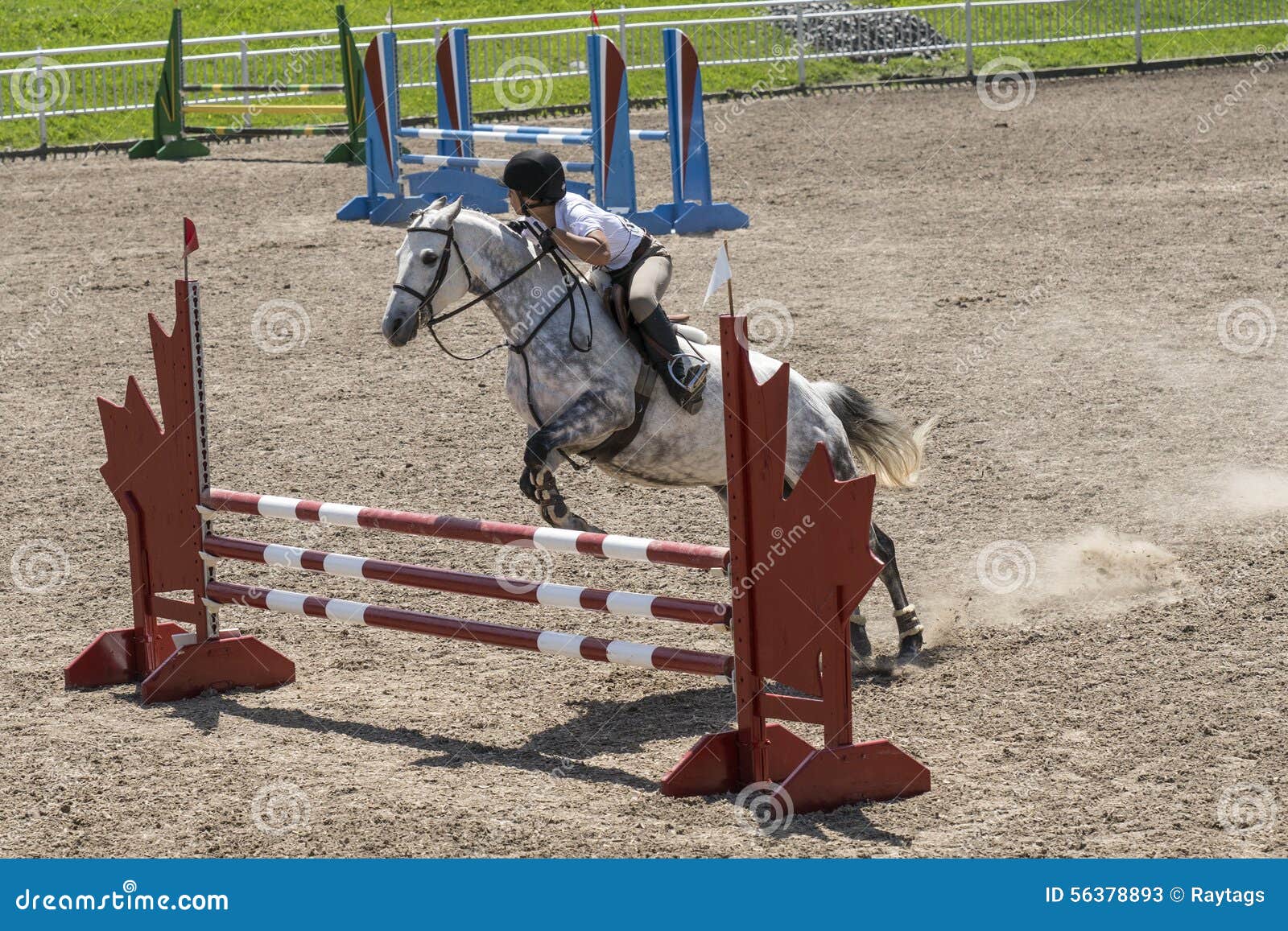 Zeigen Sie Springendes Pferd Und Mitfahrer Redaktionelles Stockfoto ...