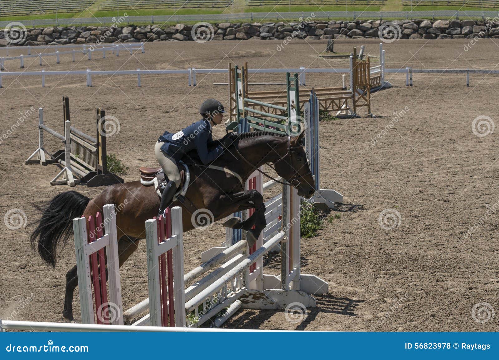 Zeigen Sie Springendes Pferd Und Mitfahrer Redaktionelles Stockfoto ...